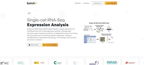 Single Cell Rna Seq Expression Analysis Batchx Supercharge Your Research With Our End To End
