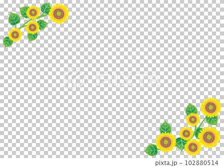 夏らしいひまわりの手描きベクターイラストのイラスト素材 102880514 PIXTA