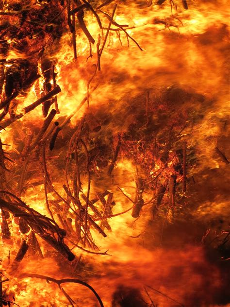 Fire Protection Essentials Dr Bridget Grusecki Somine Nd