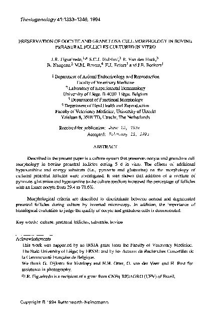 Pdf Preservation Of Oocyte And Granulosa Cell Morphology In Bovine