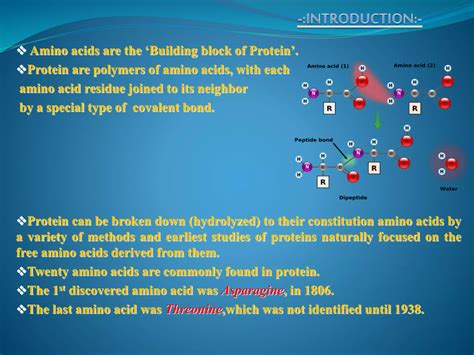 Amino Acids Structure Classification And Function By Kk Sahu Sir Ppt