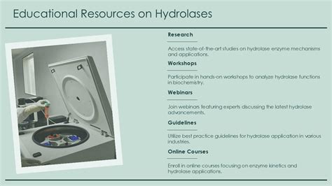 Understanding Hydrolases Enzymes Functions And Applications In