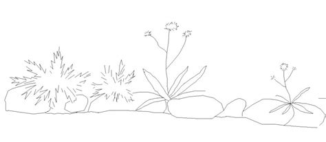 2d View Of Plants And Rocks Layout File In Dwg Format Drawings Scale
