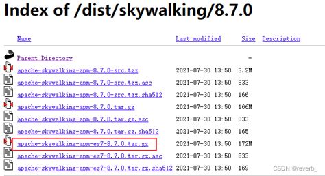 Springboot 整合 Skywalking 和 Elasticsearchwindow环境下skywalking配置