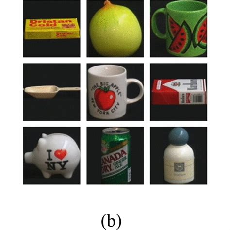 Example Images In A Coil 20 B Coil 100 And C Eth 80 Download Scientific Diagram