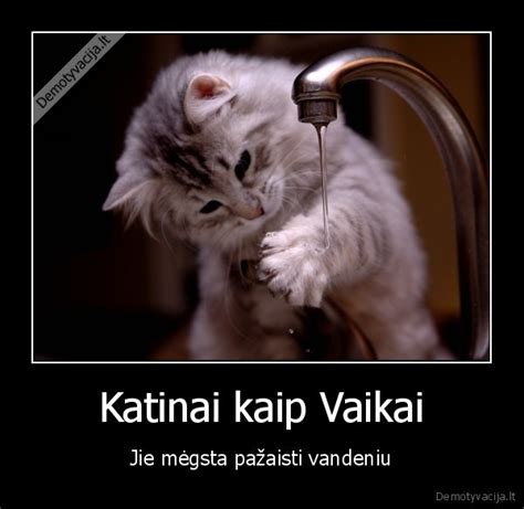 Katinai Kaip Vaikai Demotyvacijalt
