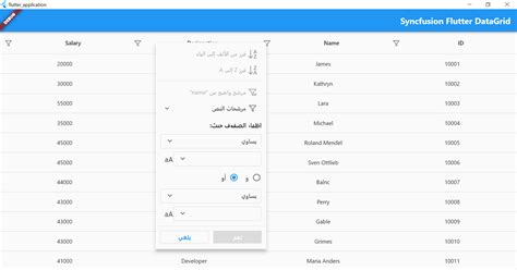 How To Make Translation For Filter Texts In Syncfusion Datagrid · Issue