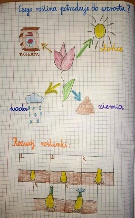 Pin By Magda Tomiczkova On Nauka O Przyrodzie Education School Crafts