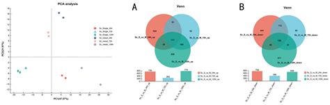 Fermentation Free Full Text Transcriptional Analysis Of Mixed Culture Fermentation Of