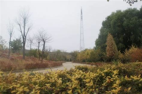 青铜峡黄河大峡谷，深秋，最美的景色全在这！金色