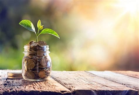 Startup India Seed Fund Scheme Sisfs Has Been Approved For The Period