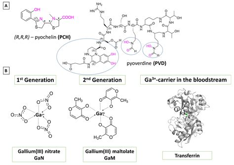Pyochelin Coloring Pages 2025