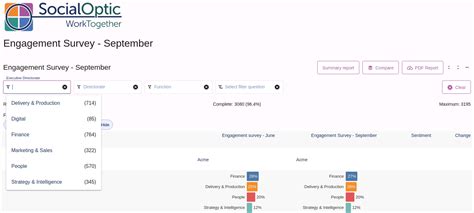 Dynamic Report Page SurveyOptic