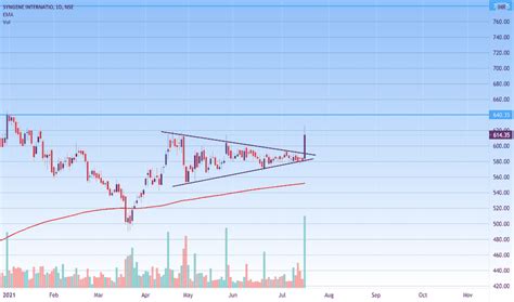 Syngene Stock Price And Chart — Nsesyngene — Tradingview