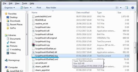 Scripthookvdotnet And Nibmods Menu Troubleshooting Scripthookvdotnet And Nibmods Menu Troubleshooting