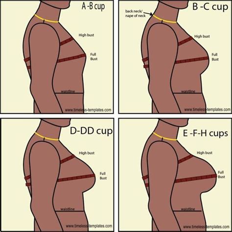 Finding Dress Bust Cup Sizes Timeless Templates Bra Sewing Pattern