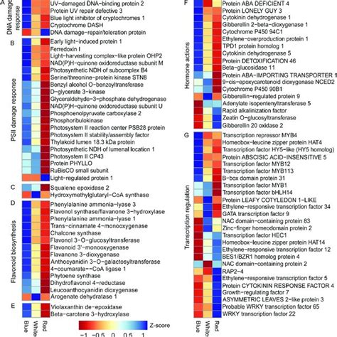 Volcano Plot Of Rna Seq Data Scatter Plots Show The Log2 Of Fold