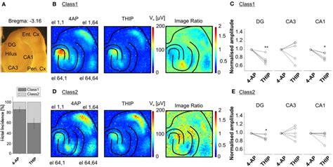 Classification Of I Ic Events Classification Of I Ics From Five Download Scientific Diagram