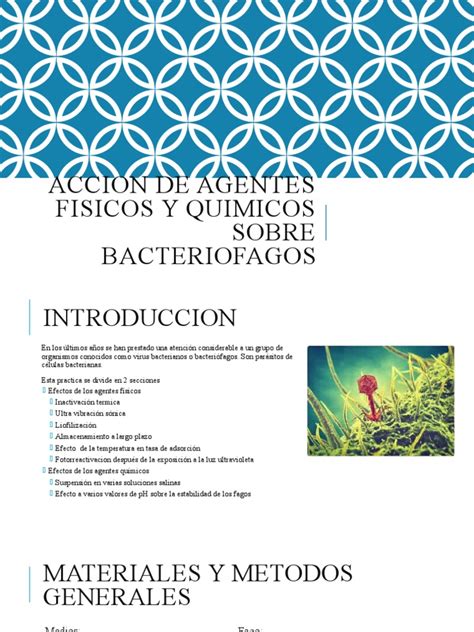 Accion De Agentes Fisicos Y Quimicos Sobre Bacteriofagos Pdf