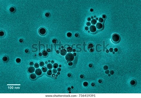 5 Core Shell Nanoparticle Images Stock Photos Vectors Shutterstock