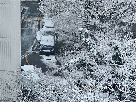 영란 첫 문장 국경의 긴 터널을 빠져나오자 설국이었다 밤의 밑바닥이 하얘졌다 신호소에 기차가 멈춰 섰다 건너편 좌석의 여자가 일어나서 다가오더니 시마무라