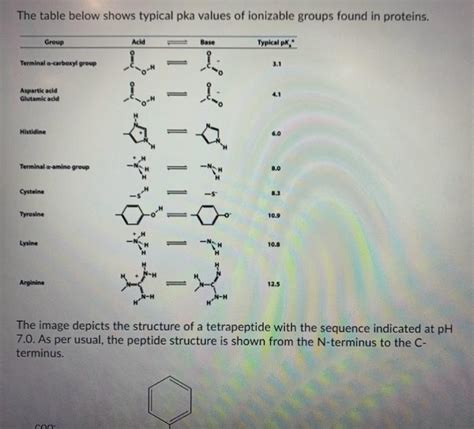 Solved The Table Below Shows Typical Pka Values Of Ionizable