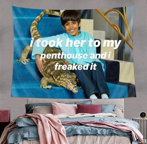 I Took Her To My Penthouse Ravi Meme Tapestry Funny Tapestry Art
