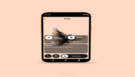 تطوير تطبيقات الموبايل وتحويل التصميم إلى كود خمسات