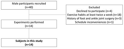 Relationship Between Changes In Foot Arch And Sex Differences During The Menstrual Cycle