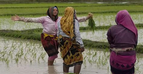 Pm Kisan Mandhan Yojanaपीएम किसान मानधन योजनाशेतकऱ्यांसाठी केंद्राची
