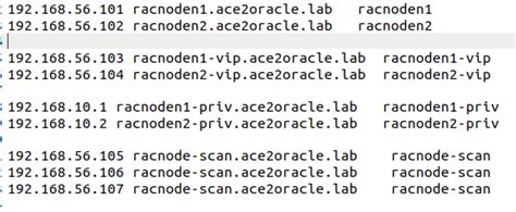 Ace2oracle Step By Step Installation Of Oracle 19c Rac On Oracle