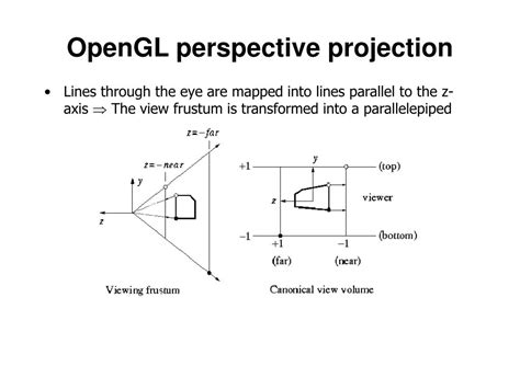 Ppt Viewing And Projections Powerpoint Presentation Free Download