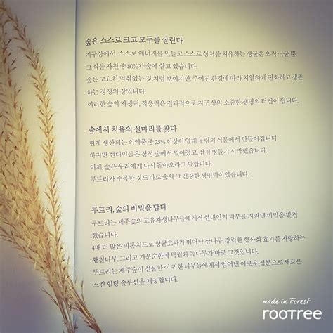 루트리 Rootree 🍁가을 가기전에 📖책한권 읽으세요 🌿루트리 가 독서 🎁캠페인 을