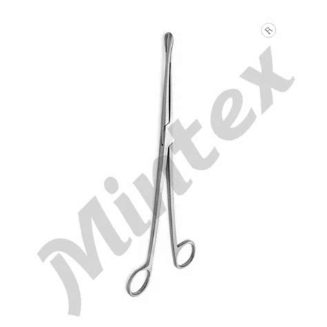 Stainless Steel Ovum Forceps Mintex Sizedimension 8 At Rs 400piece