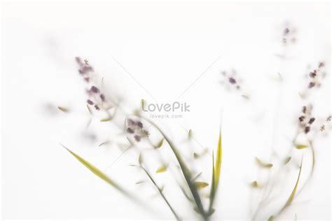 창조적 인 꽃 사진 무료 다운로드 Lovepik