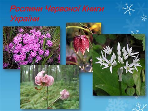 Презентація Червона книга України