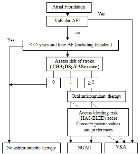 Antithrombotic Therapy Recommendation By Last Updated 2012 Esc