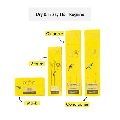 Dry And Frizzy Hair Regime Set Of 4 The Earth Collective