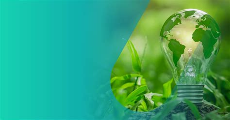 Why Sustainable Procurement Is The Future Clearvuebusiness