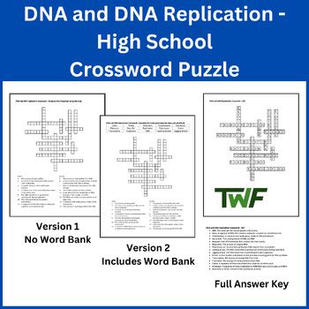 DNA And DNA Replication Crossword Puzzle Activity By Teach With Fergy