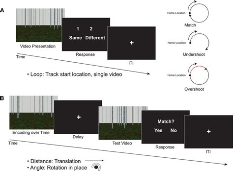 experimental design from chrastil et al 2015 a loop paradigm a