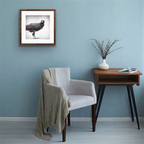 Raven Fledgling Fine Art Print Raven Portrait Series