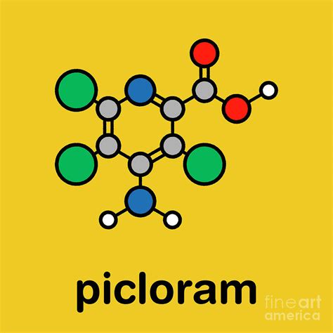 Picloram Herbicide Molecule Photograph by Molekuul/science Photo ...