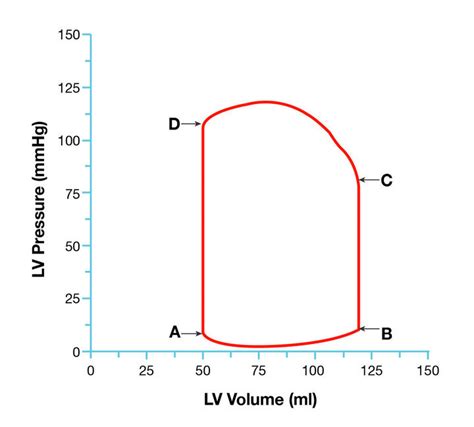 Diagram Of Lv Pressure Volume Loop Quizlet