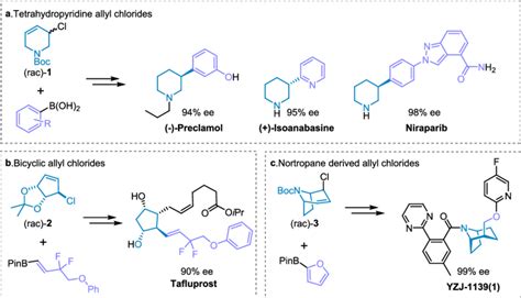 A Catalytic Asymmetric Synthesis Of Drug Molecules From Download