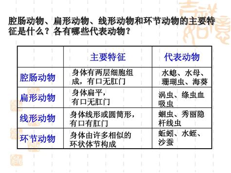 无脊椎动物的主要类群 word文档在线阅读与下载 免费文档