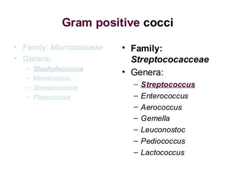 Laboratory Diagnosis Gram Positive And Gram Negative Cocci