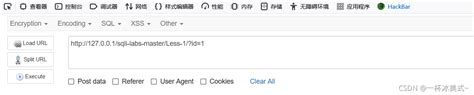 sql注入之sqli labs的less1~10史上最详细通关教程 sql less8第一表第一列 csdn博客