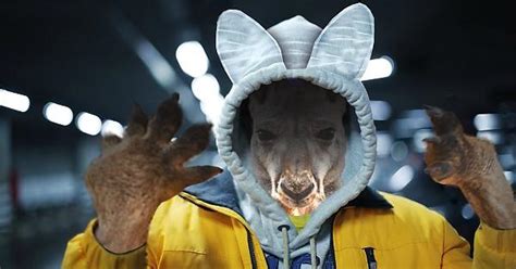 Kangaroo Rap Imgur
