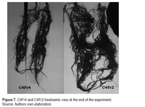 Soil Irrigation Frequencies Compaction Air Porosity And Shear Stress Effects On Soybean Root